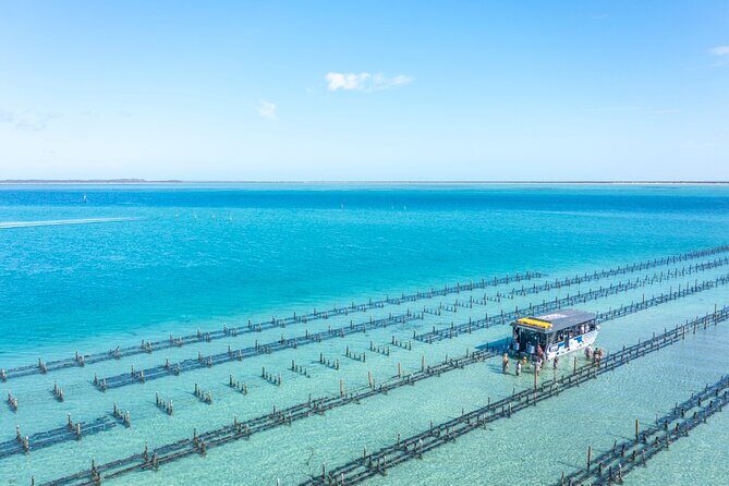 Experience Coffin Bay Oyster Farm and Bay Tour - Who Will Love This Tour?