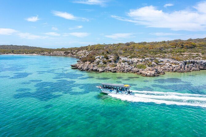 Experience Coffin Bay Short and Sweet Oyster Farm Tour - Key Points