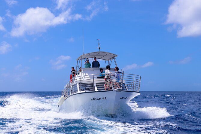 Experience Guam Dolphin Cruise - Analyzing the Value