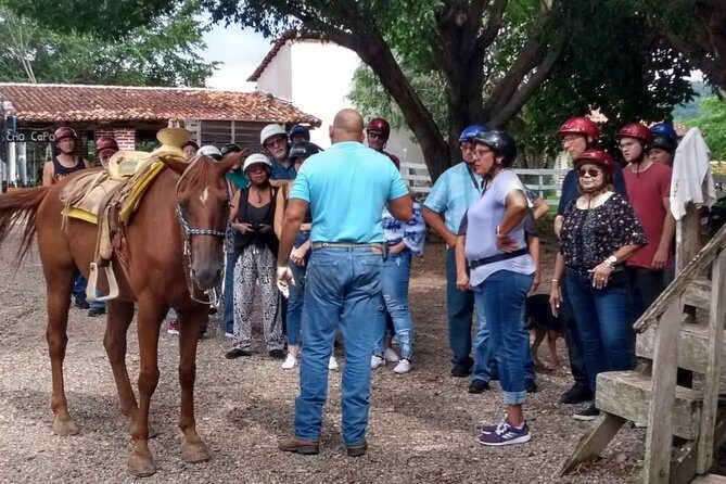Experience Horse Riding, ATV & Zipline from Puerto Vallarta - Key Points