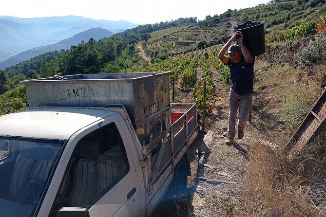 Experience in the Douro: Tua de Rabelo, Quinta, Tasting and Lunch - A Complete Look at the Itinerary