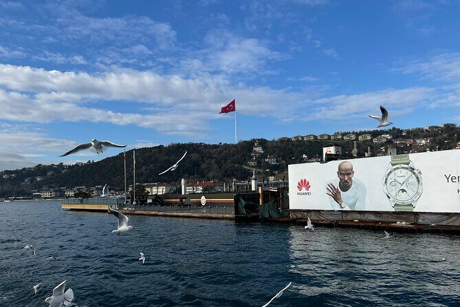 Experience Istanbul: Scenic Bosphorus Cruise with Delicious Lunch - Overview & What to Expect