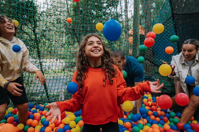 Experience Ourimbah State Forest Networld Adventure - The Experience Breakdown: What to Expect