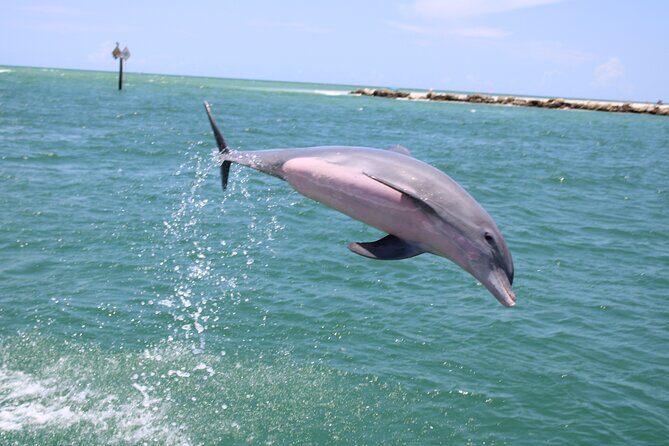 Experience Parasailing in Sarasota - FAQs