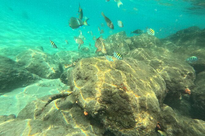 Experience Peanut Island Adventures with Go Pro - The Experience: What Travelers Can Expect