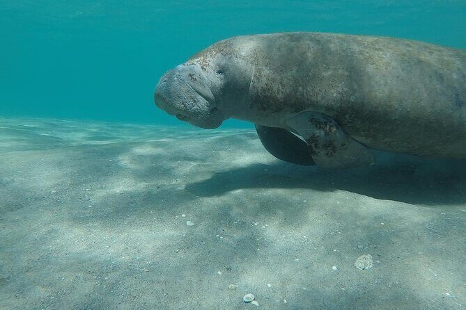Experience Peanut Island Adventures with Go Pro - Final Thoughts