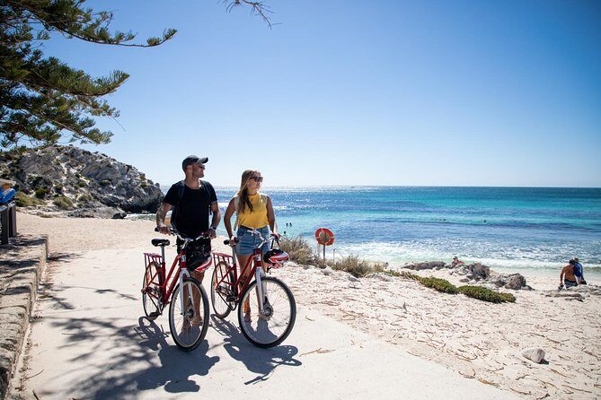 Experience Rottnest with Ferry & Bike Hire - What to Expect from Your Rottnest Island Day Trip