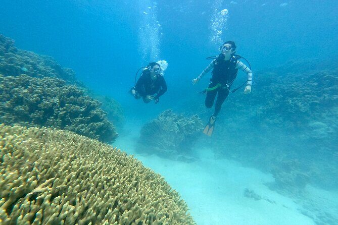 Experience Scuba Diving - No Certification Needed! - Customer Experiences & Reviews