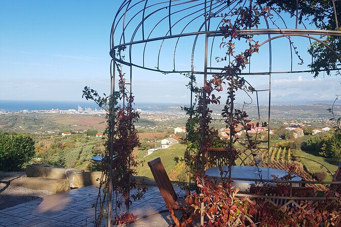 Experience Slovenian Coast line with Wine Tasting from Trieste - Guides and Reviews: What Guests Say