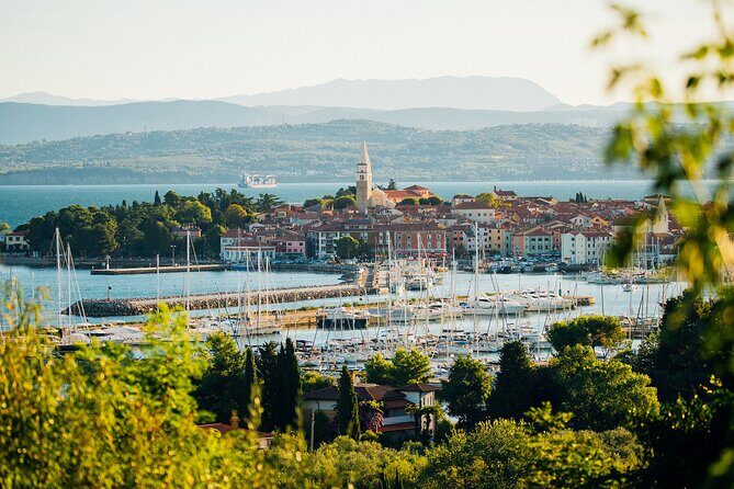 Experience Slovenian Coast line with Wine Tasting from Trieste - Price and Value