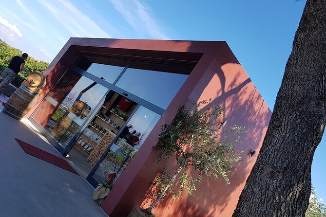 Experience Slovenian Coast line with Wine Tasting from Trieste - Who Should Book This Tour?