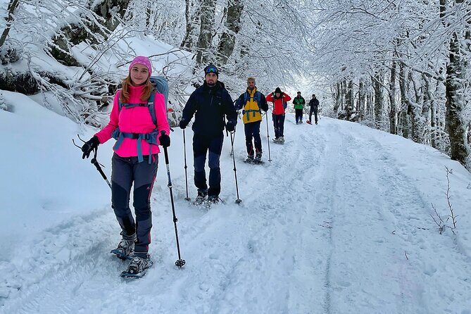 Experience Snowshoeing in Olympic Mountain Bjelanica - Who Will Love This Experience?