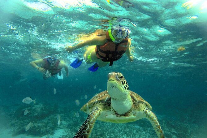 EXPERIENCE SWIMMING with the TURTLES and Discover the amazing Tulum Ruins tours. - Key Points