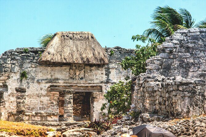 EXPERIENCE SWIMMING with the TURTLES and Discover the amazing Tulum Ruins tours. - Value and Practical Considerations