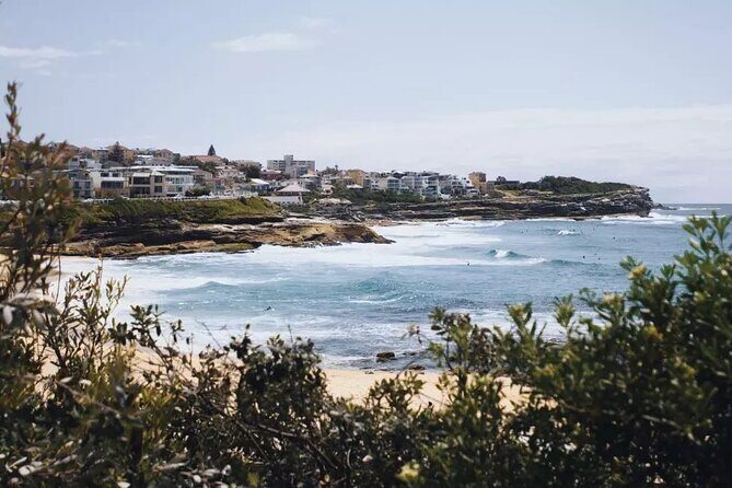 Experience Sydney's Best Beaches - The Sum Up