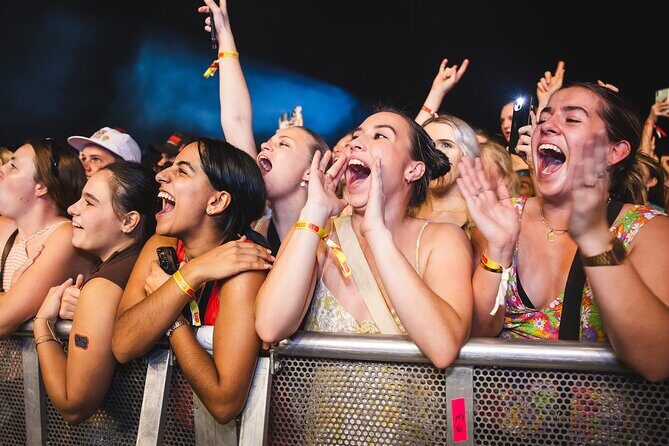 Experience the BASSINTHEGRASS Music Festival at Mindil Beach - A Deeper Look at the Festival Experience