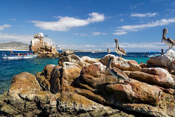 Experience the Clear Boat adventure & Cabo San Lucas City Tour - A Deep Dive into the Experience