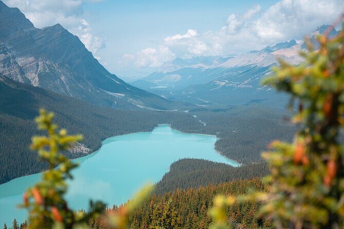 Experience the Columbia Icefield: Private Tour from Calgary - Key Points