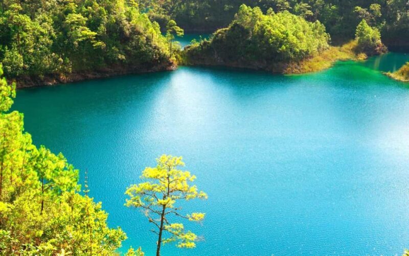 Experience the Magic of Chiapas: 3-Day Tour - Day 3: Indigenous Communities of Chamula and Zinacantán