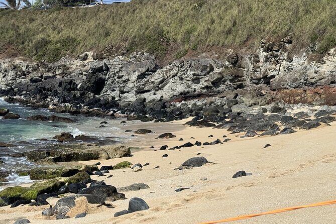 Experience the soul of Maui: Tours led by Maui's own! - An In-Depth Look at the Maui Private Tour Experience