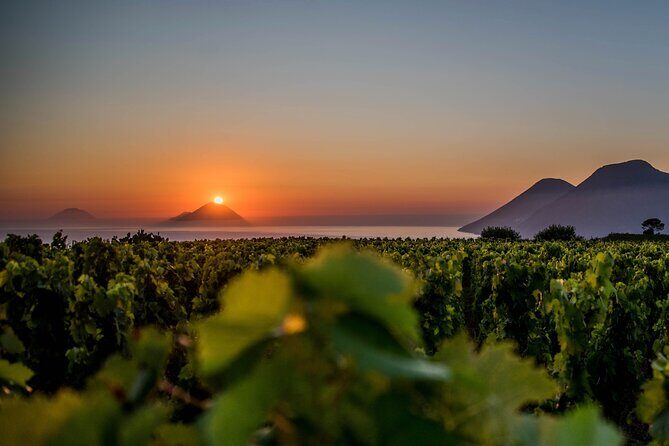 Experience TOAST TO THE SUN - FAQ