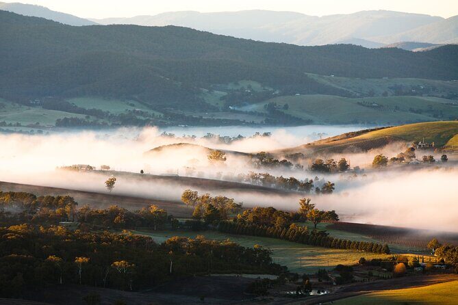 Experience Yarra Valley: A Tailored private Wine Journey - Why Choose This Yarra Valley Private Tour?