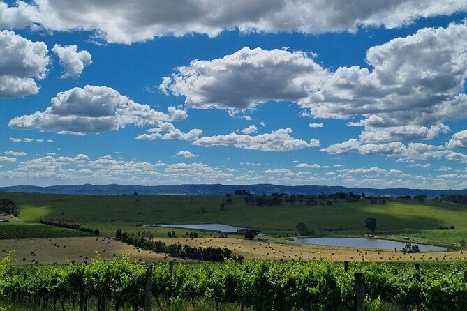 Experience Yarra Valley: A Tailored private Wine Journey - Final Thoughts