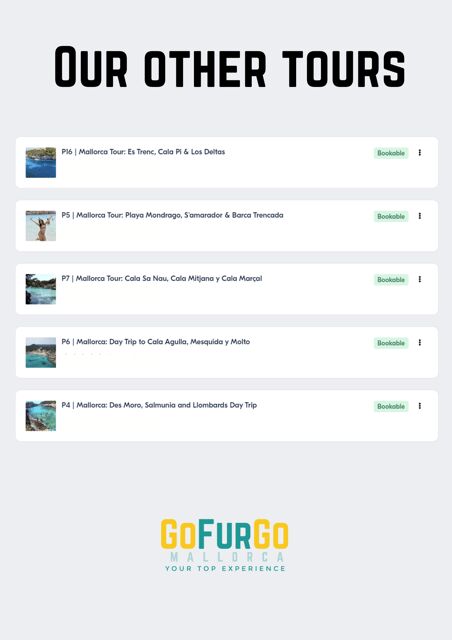 Experinence in Mondrago /S'amarador / Trencada Snorkel y SUP - Key Points