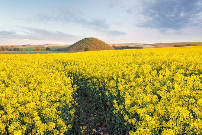 Expert Archaeologist - Private Stonehenge, Bath and Avebury Tour - An In-Depth Look at the Tour Itinerary