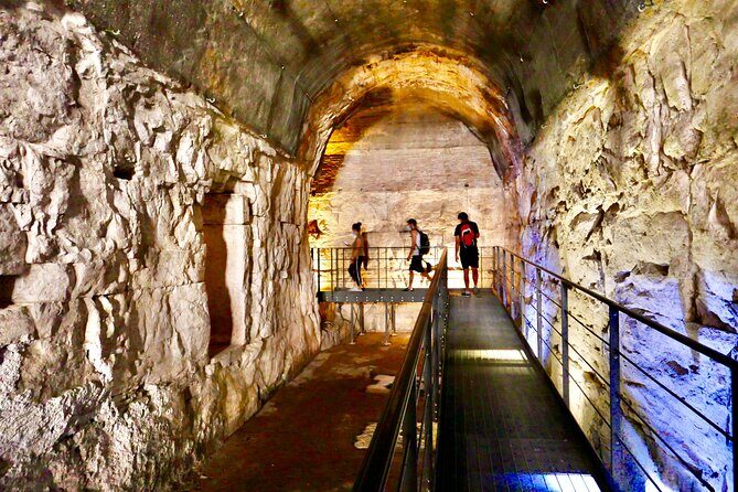 Expert Guided Tour of Colosseum Arena OR Underground, and Forum - The Roman Forum and Palatine Hill