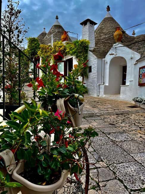 Expert Guided Visit & Tasting, Alberobello - Practical Details and Tips