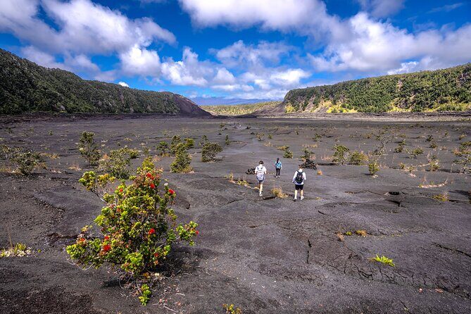 Expert Led Private Guided Tour Hawaii Volcanoes National Park - Key Points
