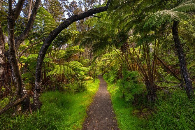 Expert Led Private Guided Tour Hawaii Volcanoes National Park - Exploring Hawaii Volcanoes National Park with an Expert Guide