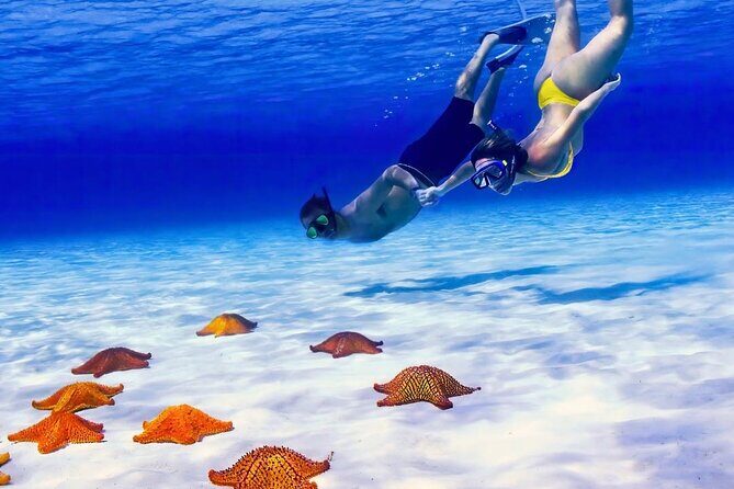 Exploration to El Cielo and Reefs: Live up close with stars - A Deep Dive into the Snorkeling Tour Experience