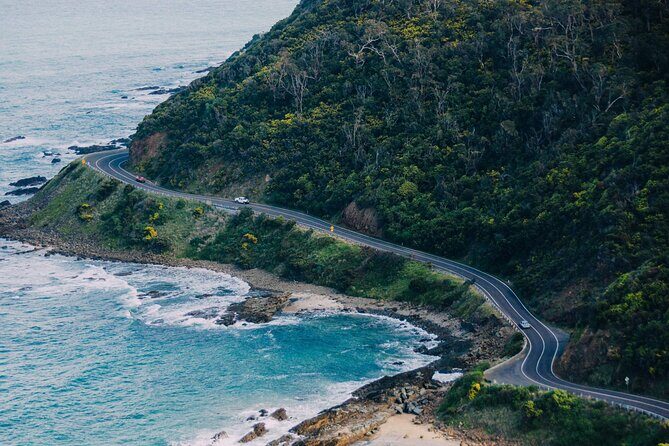 Explore 12 Apostles and Great Ocean Road - Insights from Reviews  
