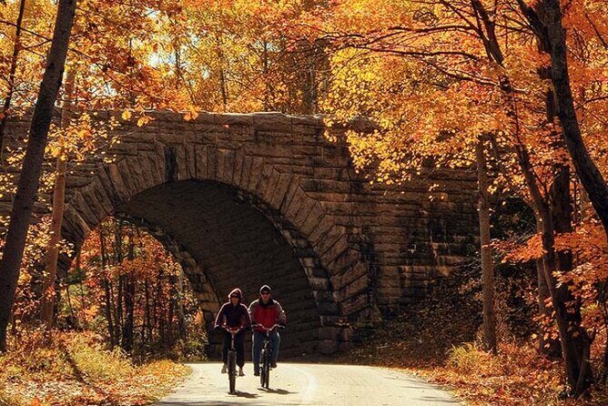 Explore Acadia with Ease Premium E-bike Rentals and Free Delivery - Exploring Acadia with Ease: A Review of the Premium E-bike Rental Experience