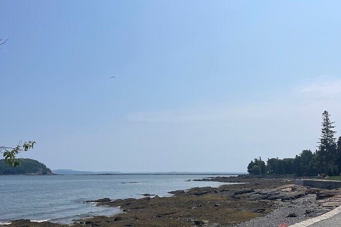 Explore Acadia with Ease Premium E-bike Rentals and Free Delivery - Key Points