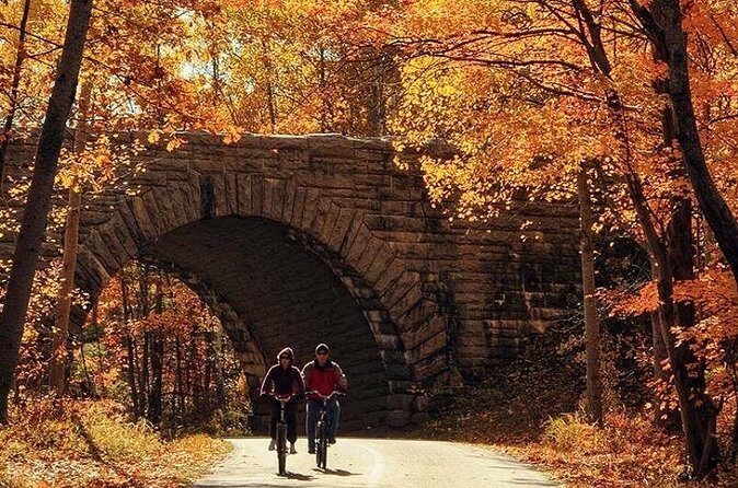 Explore Acadia with Ease Premium E-bike Rentals and Free Delivery - Who Should Consider This Tour?