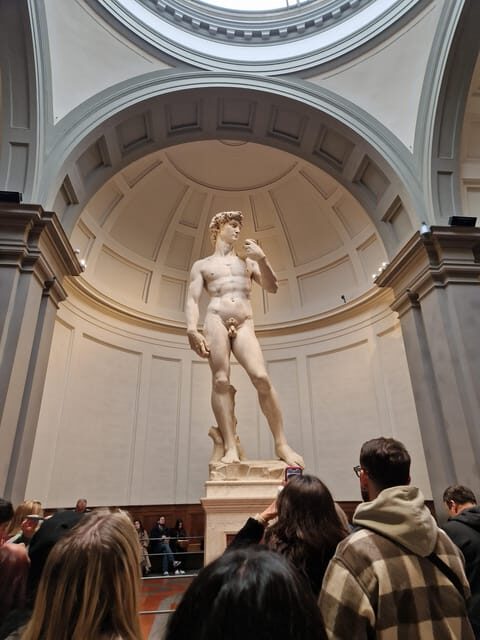 Explore Accademia Gallery on Free Museum Day - An In-Depth Look at the Tour Experience