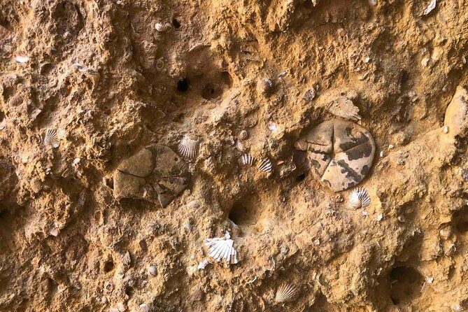 Explore Algarve Caves & Wild Beaches Kayak Tour - Who Should Book This Tour?