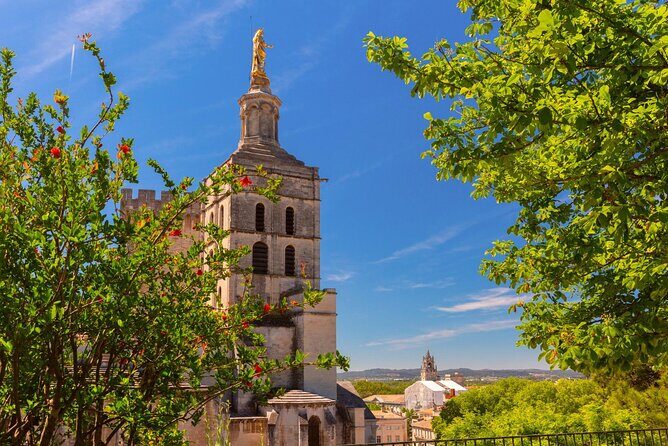 Explore Avignon in 60 minutes with a Local - Authentic Insights from Reviews