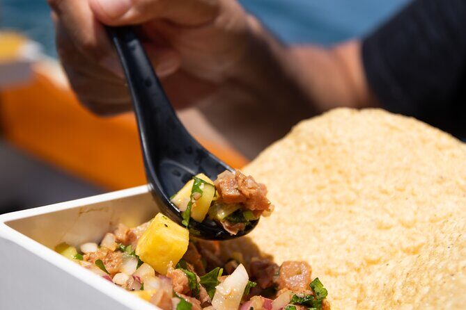 Explore Banderas Bay: Exclusive Boat Journies - Practical Details & Tips