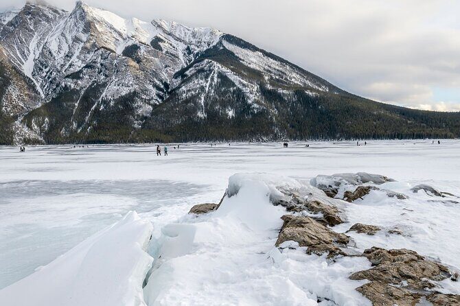 Explore Banff + Wildlife - An In-Depth Look at the Banff + Wildlife Tour