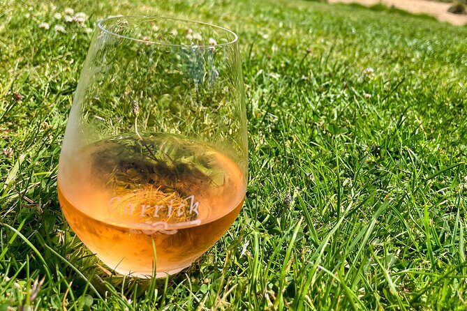 Explore Bannockburn Wineries & Private Wine Retreat by eBike - The Sum Up: Who Should Consider This Tour?