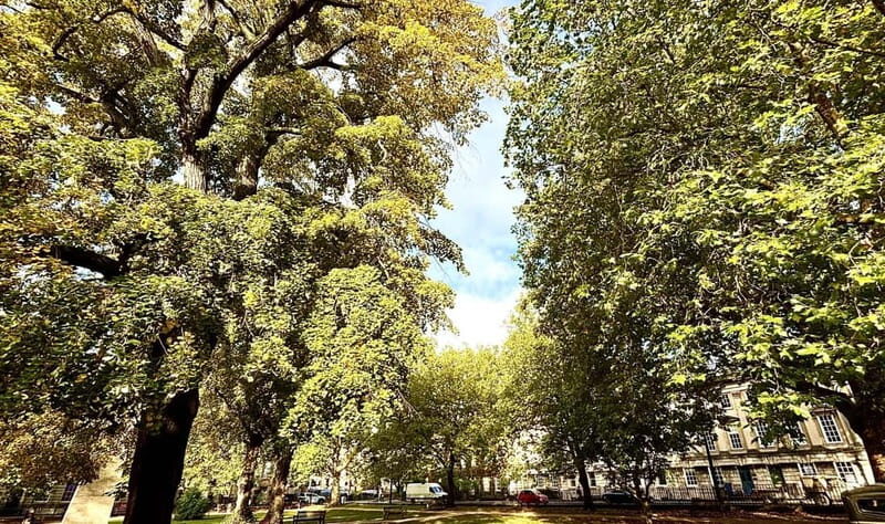 Explore Bath in Spanish: With Olga, local guide - The Sum Up