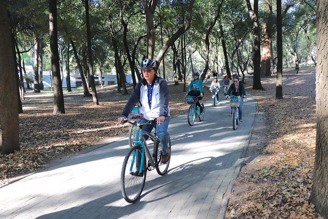 Explore Chapultepec & Mexico City sights by Bike - The Experience of Cycling in Mexico City