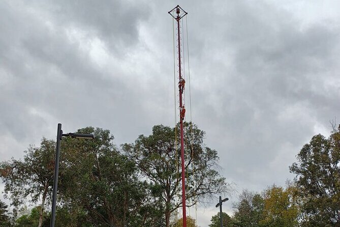 Explore Chapultepec & Mexico City sights by Bike - Analyzing Value and Cost