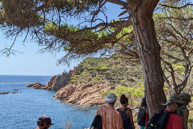 Explore Costa Brava & Tossa de Mar Coastal Trails, Snorkel & Meal - FAQ