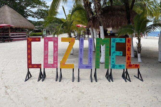 Explore Cozumel on a Buggy: Tour Around the Island! - The Bottom Line: Who Is This Tour Best For?