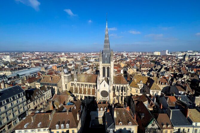 Explore Dijon in 60 minutes with a Local - Key Points